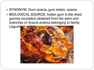 Acacia | PPTX