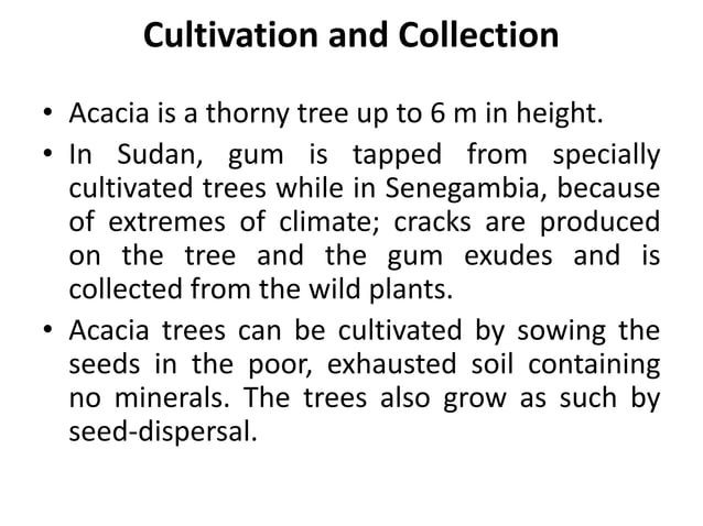 Acacia- Indian Gum and Gum Arabic | PPTX