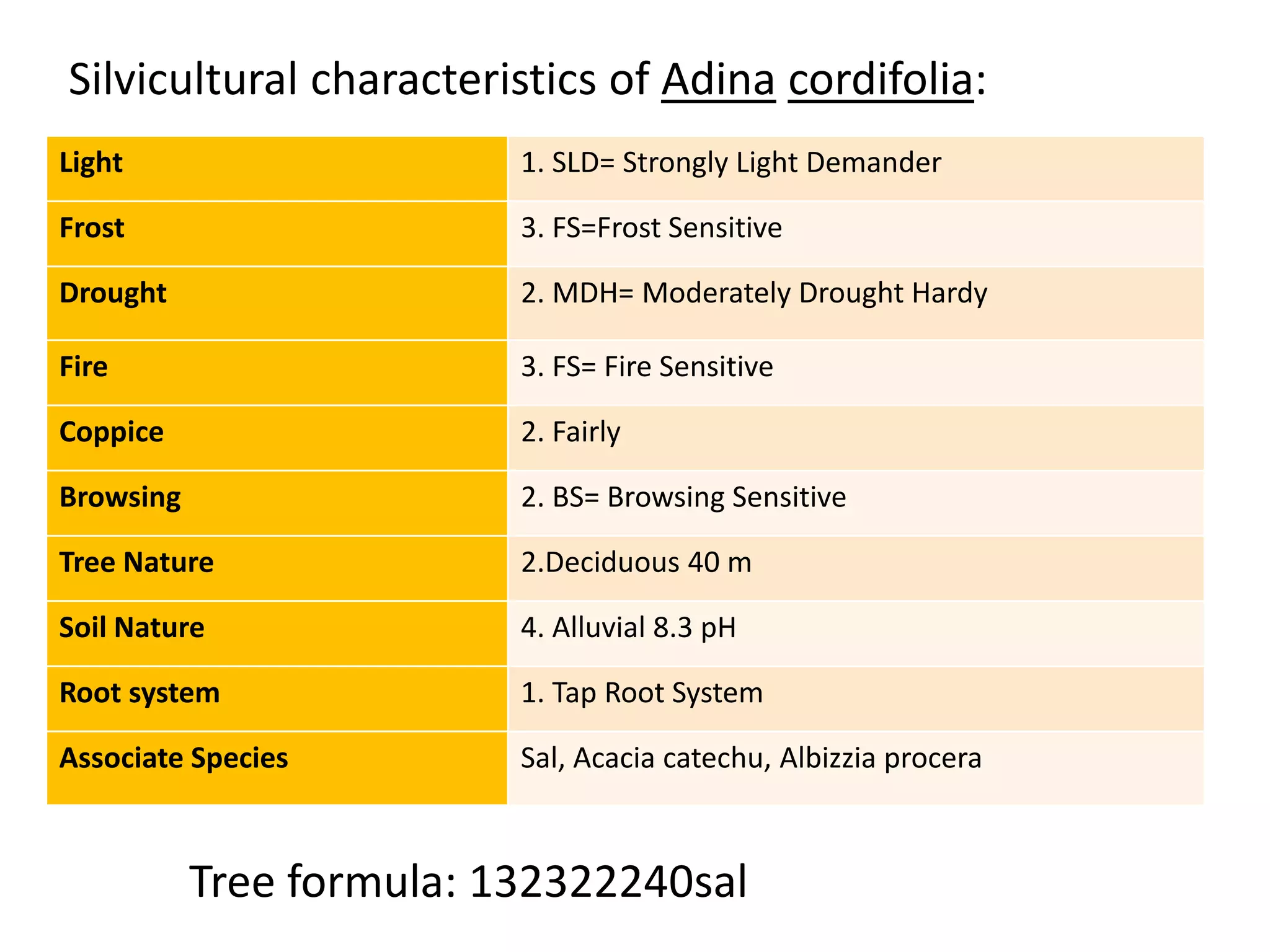 Acacia catechu and Adina cordifolia | PPTX
