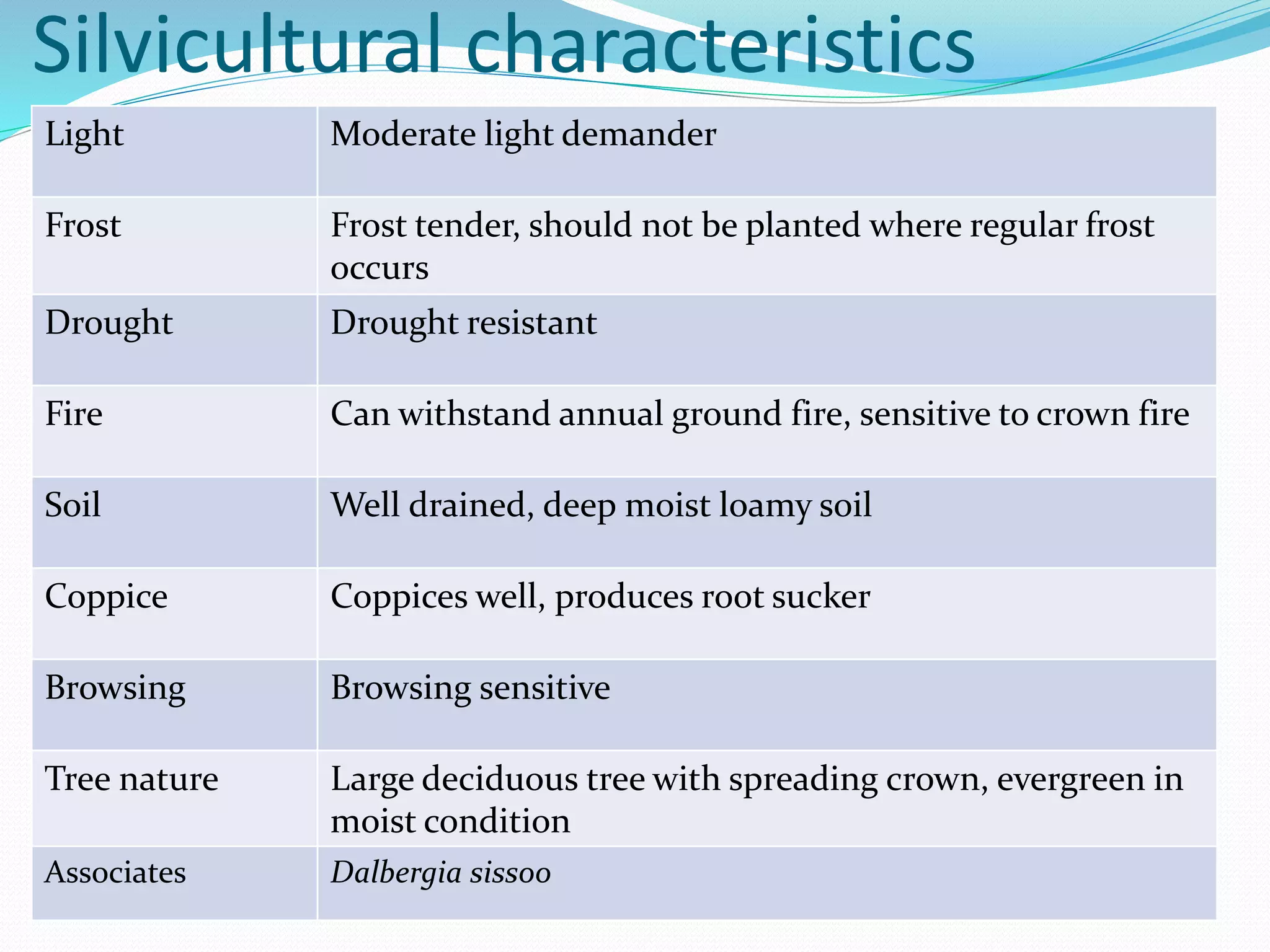 Acacia catechu abiral final 1 | PPTX