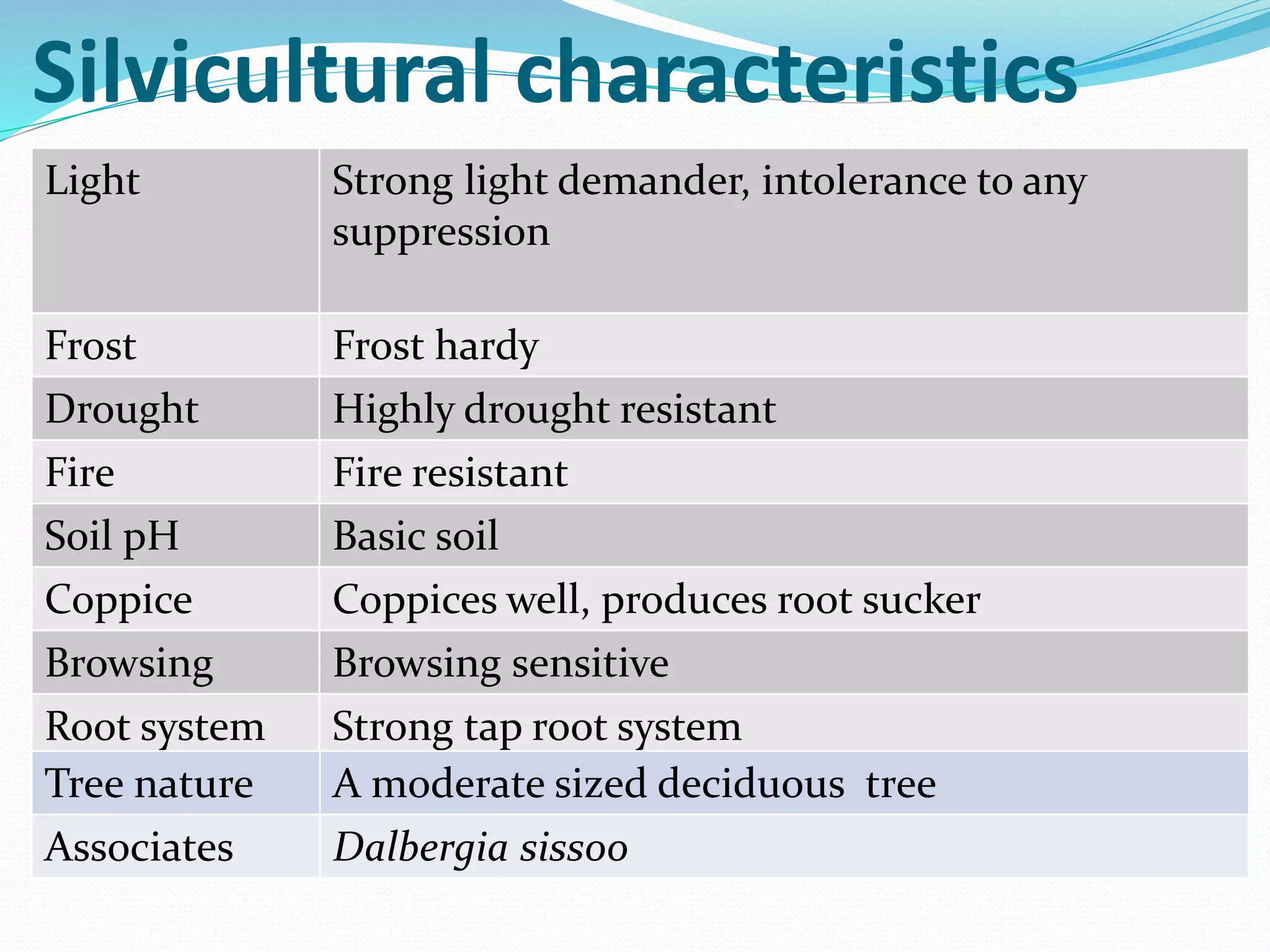 Acacia catechu abiral final 1 | PPTX