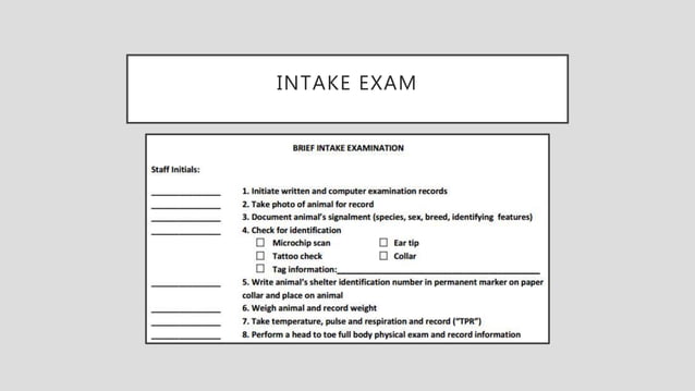 ACAC Intake Protocol Sample | PPTX | Dogs | Pets
