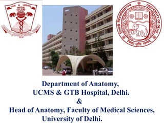 AcademicExcellence.ppt | Medical Health