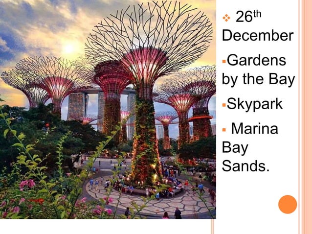 Academic Excursion to Singapore. pptx | PPT | Free Download