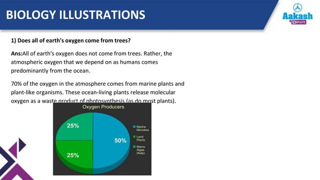 ACADEMIC ILLUSTRATIONS.pptx