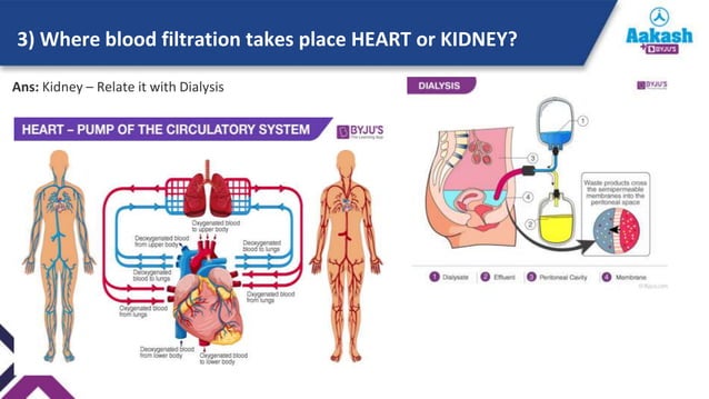 ACADEMIC ILLUSTRATIONS.pptx