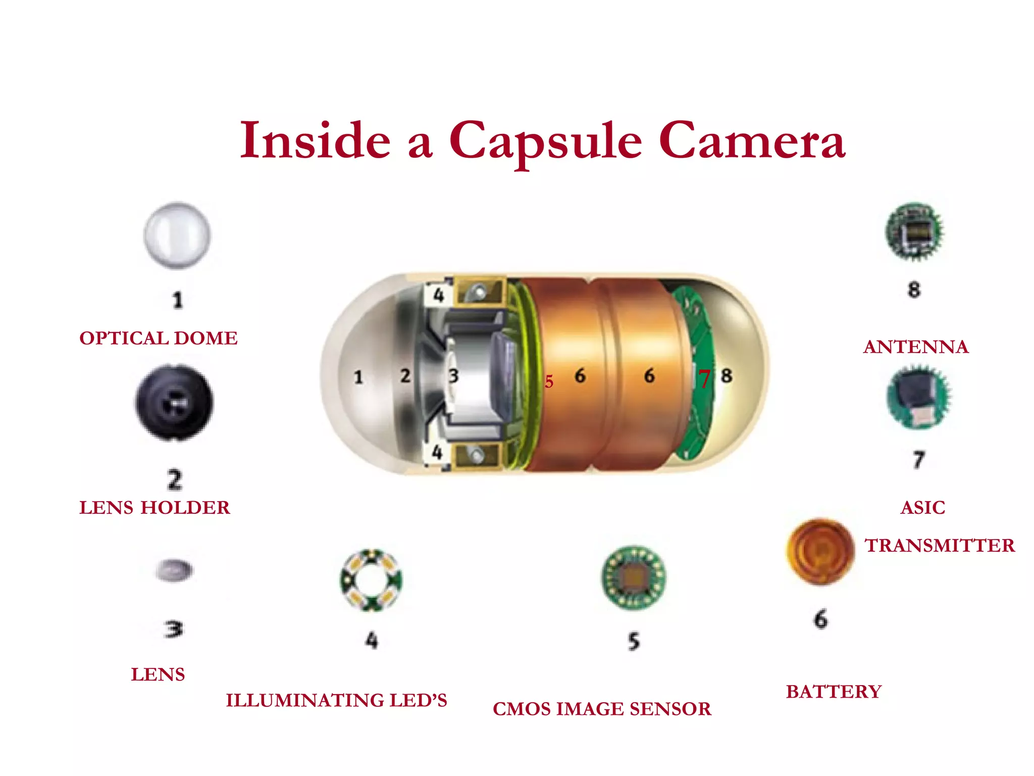 Pill Camera ppt | PPT