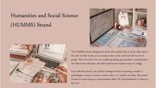 Academic Tracks | PPTX | Undergraduate Education | College Education