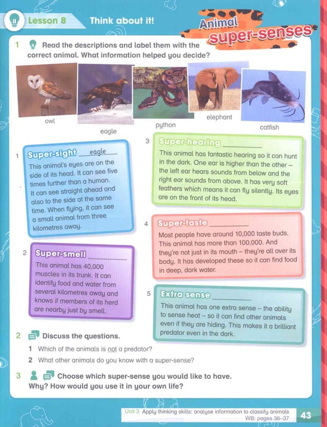Academy stars 6 pupils book | PDF