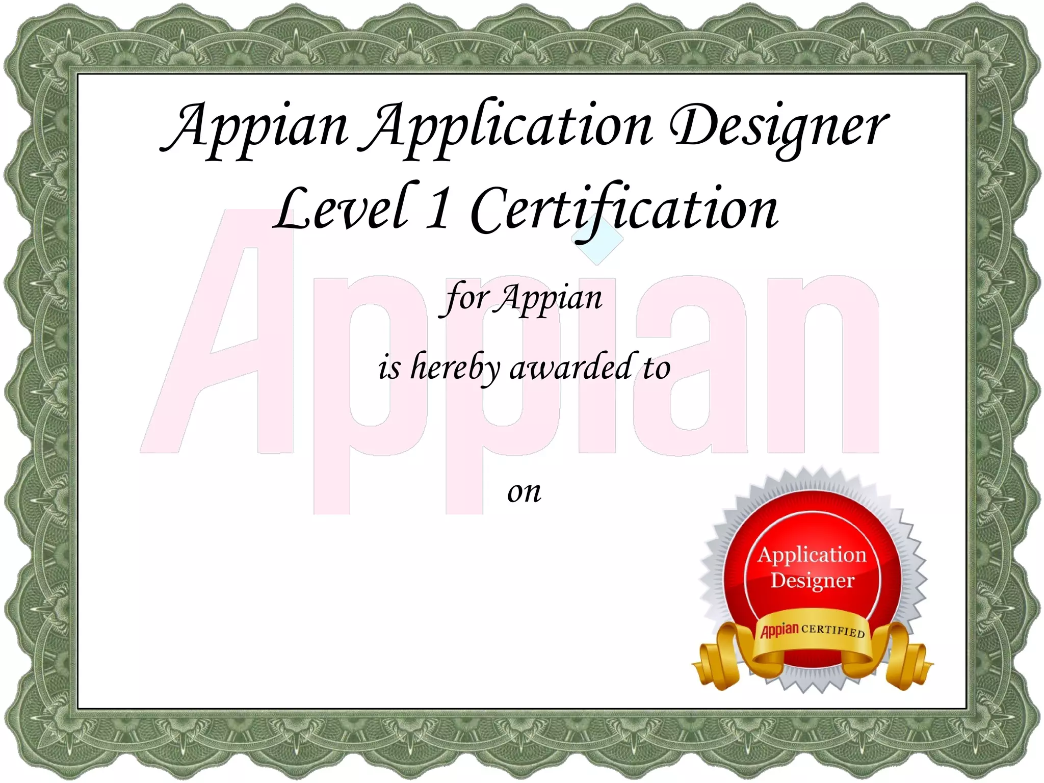 Appian Application Designer Certificate | PDF