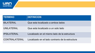 ACA ESTA TODO lo que debe saber sobre la anatomia basica | PDF