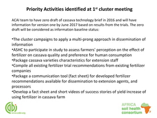Update on Cassava Clusters Development | PPT