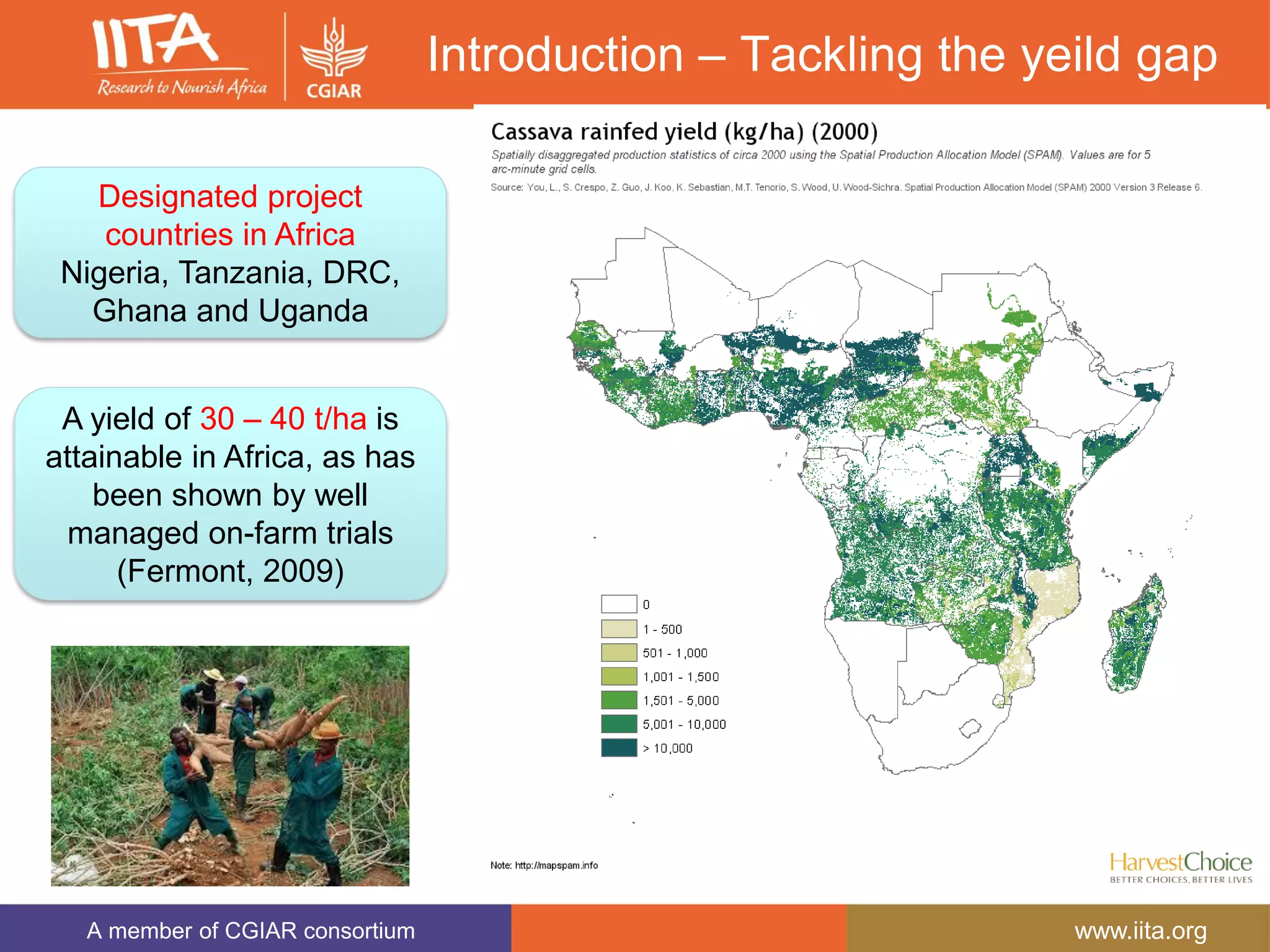 African Cassava Agronomy Initiative (ACAI): Taking agronomy to Scale in ...