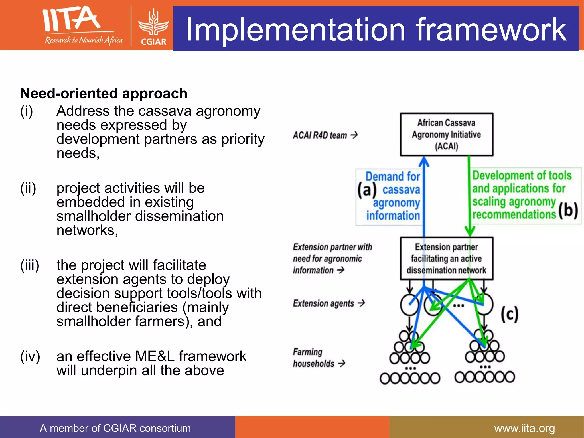 African Cassava Agronomy Initiative (ACAI): Taking agronomy to Scale in ...