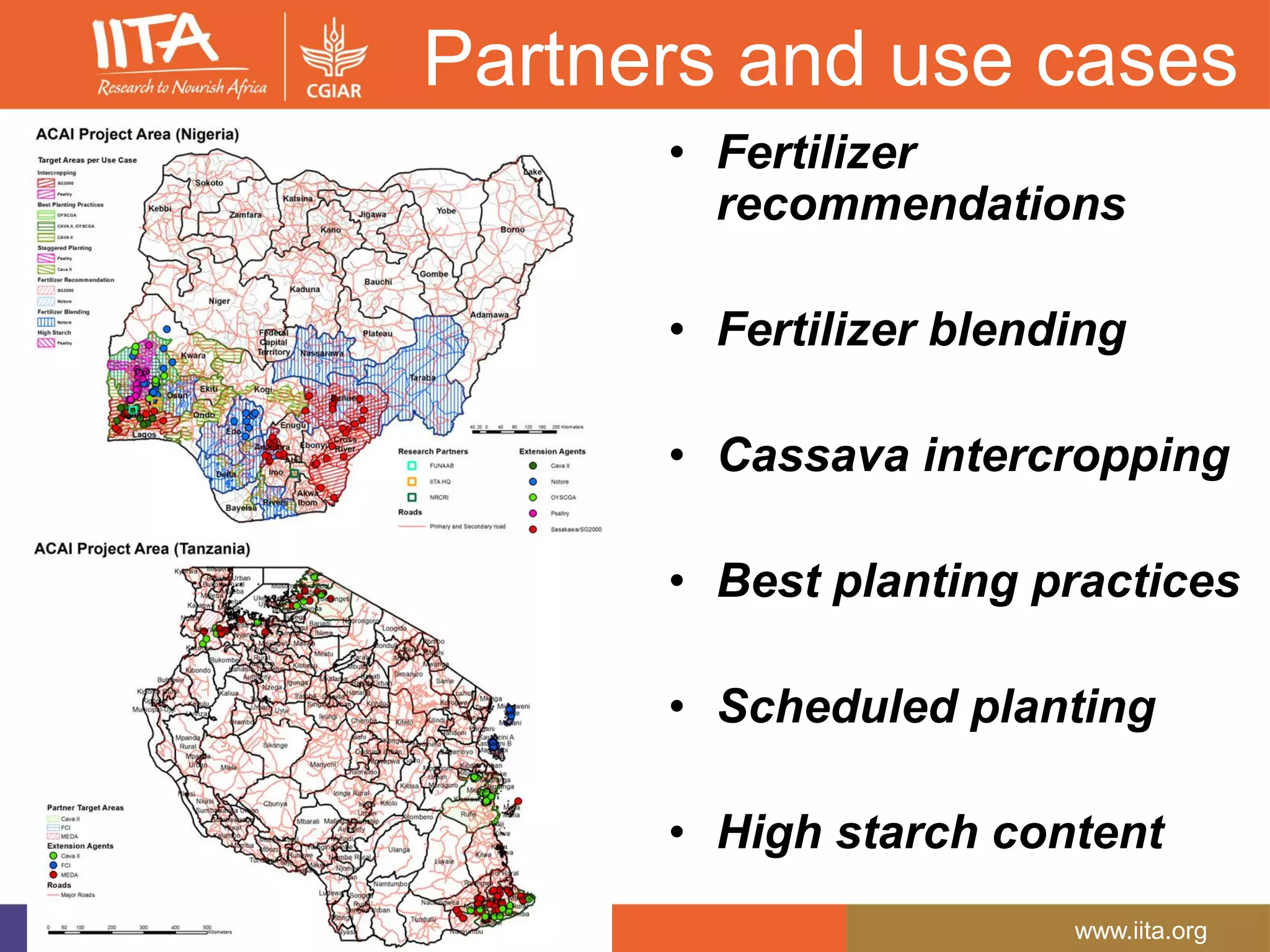 African Cassava Agronomy Initiative (ACAI): Taking agronomy to Scale in ...