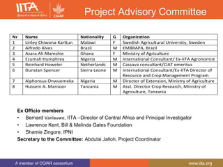 African Cassava Agronomy Initiative (ACAI): Taking agronomy to Scale in ...
