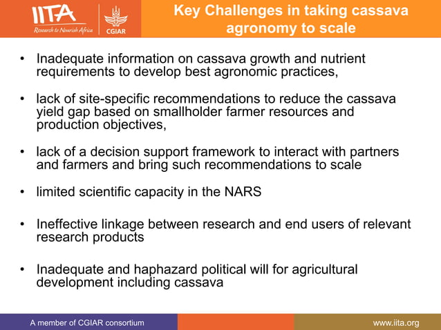 African Cassava Agronomy Initiative (ACAI): Taking agronomy to Scale in ...