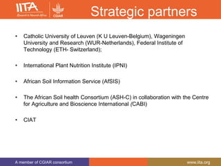 African Cassava Agronomy Initiative (ACAI): Taking agronomy to Scale in ...