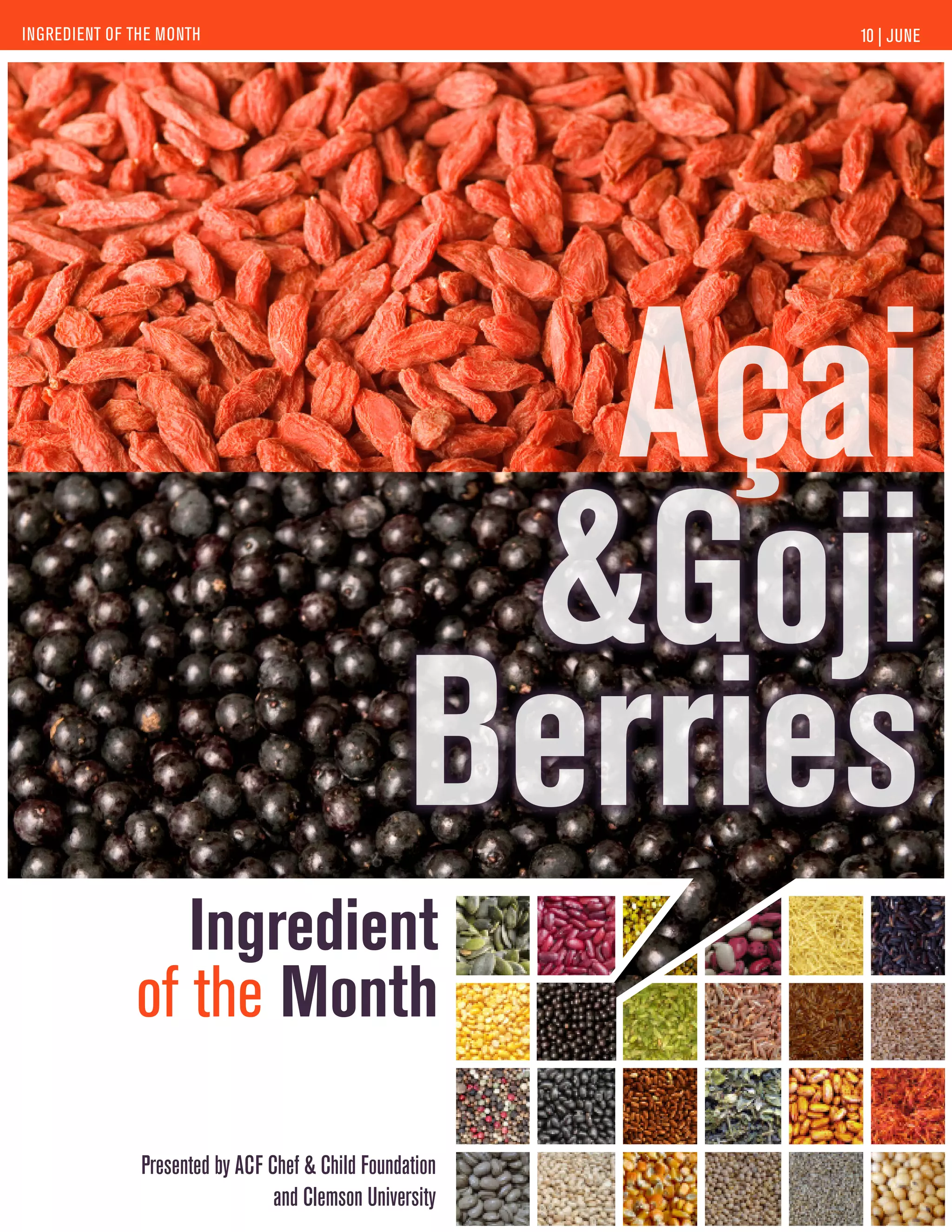 Acai and goji_berries Aigul Baigazieva | PDF