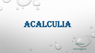 ACALCULIA ,dyscalculia, brain location and types of dyscalculia | PDF