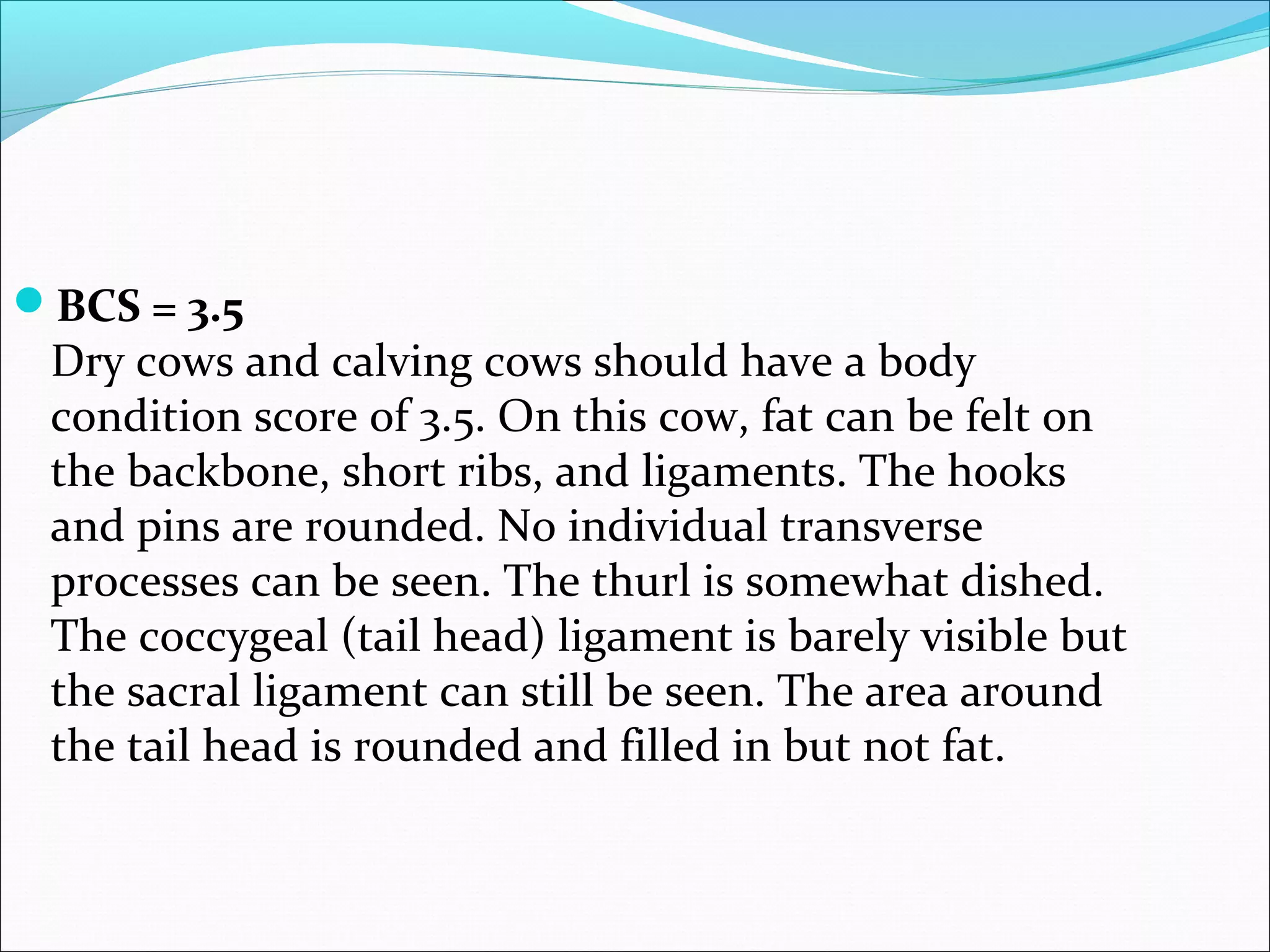 A calf per cow per year | PPT