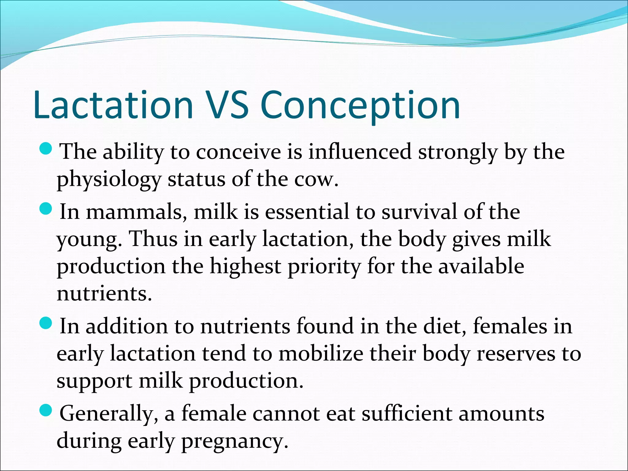 A calf per cow per year | PPT