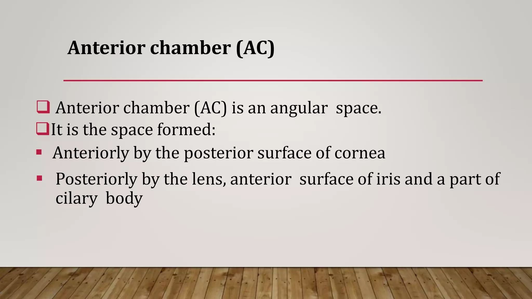 AC Anatomy- 1.pptx