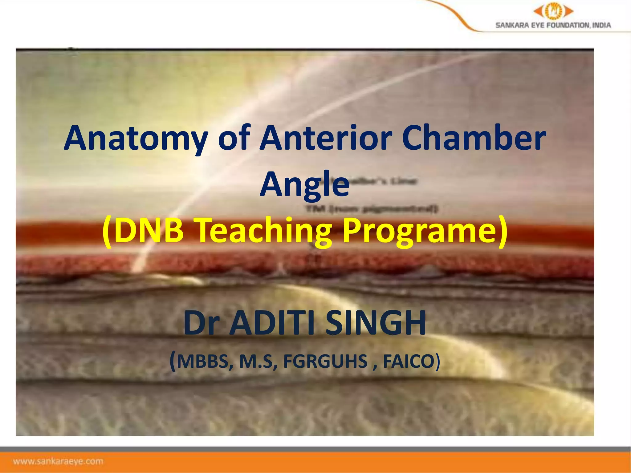 Anatomy Of Angle Of Anterior Chamber