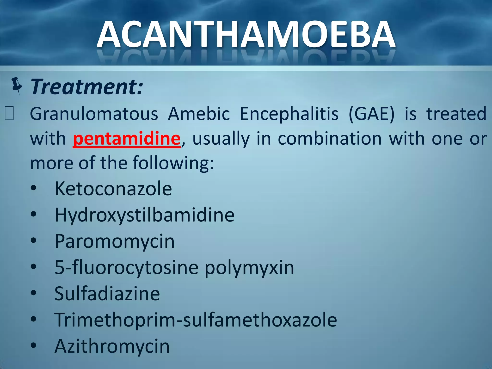 Acanthamoeba | PDF