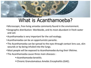 Acanthamoeba | PPTX