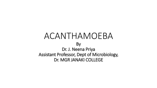 Acanthamoeba - GAE | PPTX | Eye and Vision Conditions | Diseases and ...