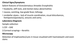 Acanthamoeba - GAE | PPTX