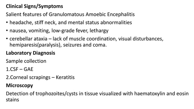 Acanthamoeba - GAE | PPTX | Eye and Vision Conditions | Diseases and ...