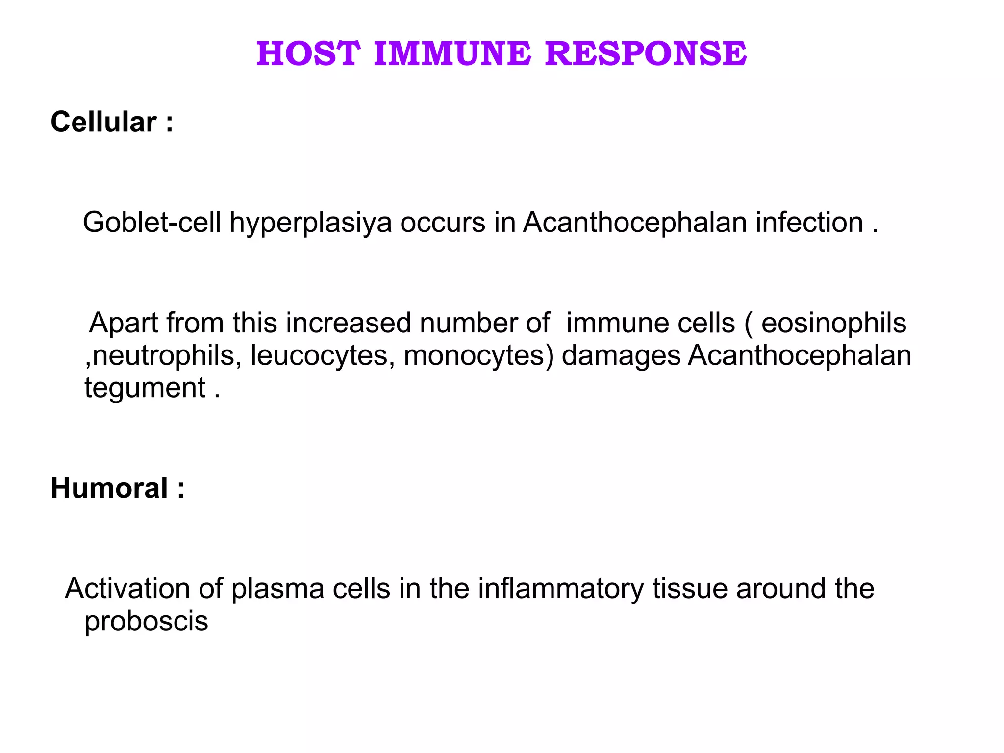 Acanthocephalan parasitic disease in fishes | PPT