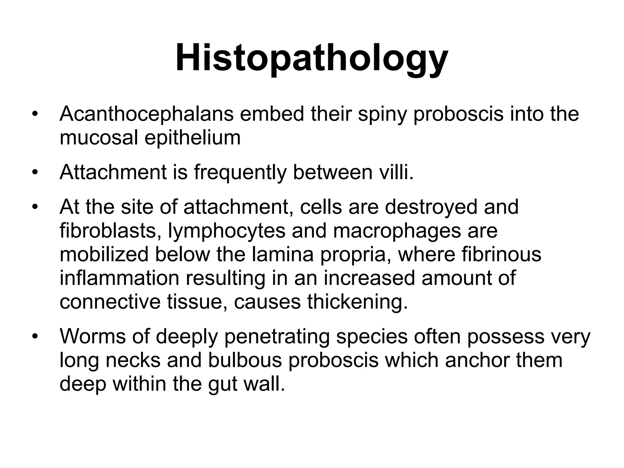 Acanthocephalan parasitic disease in fishes | PPT