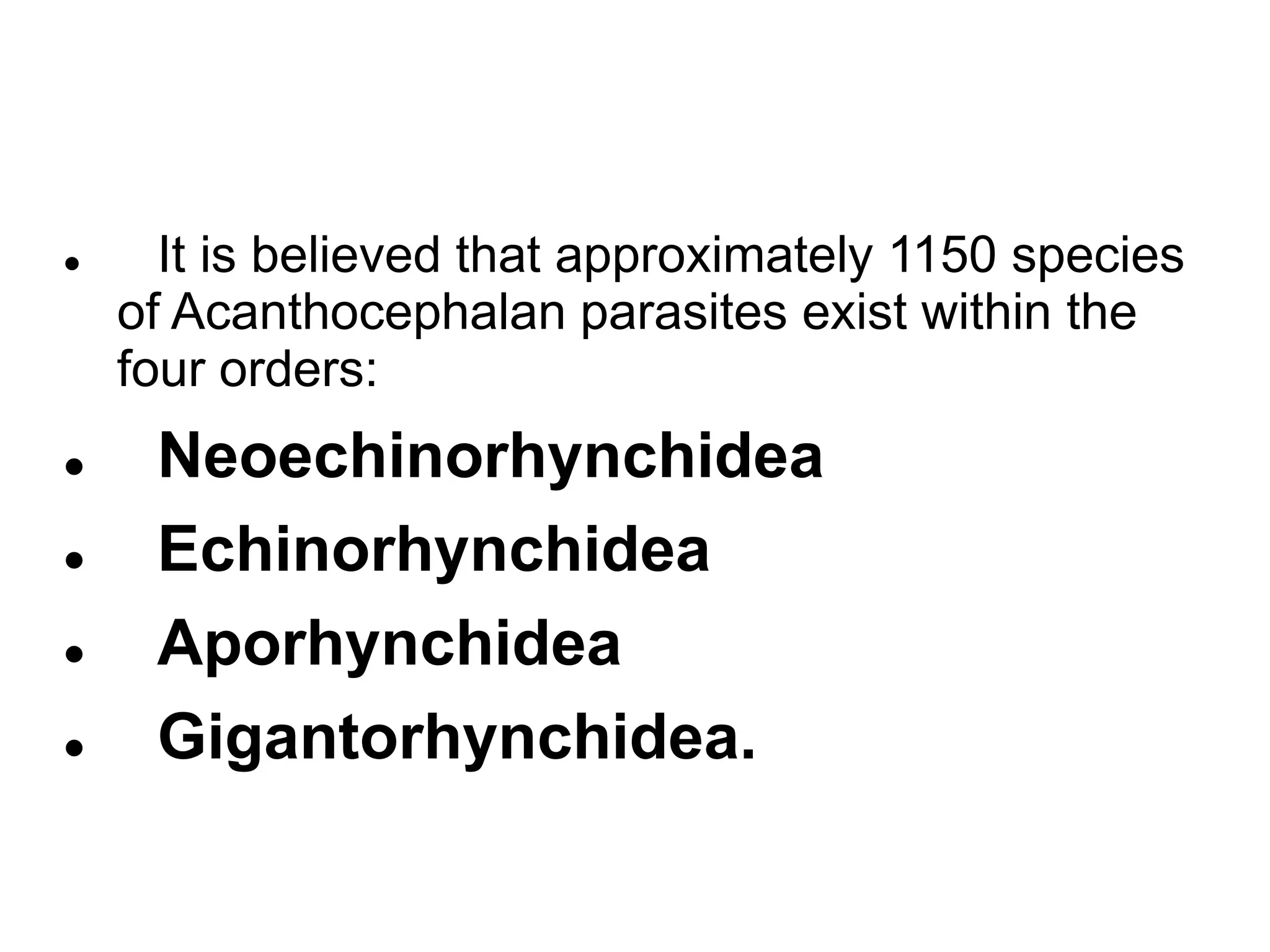 Acanthocephalan parasitic disease in fishes | PPT