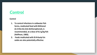 Acanthocephala .pptx