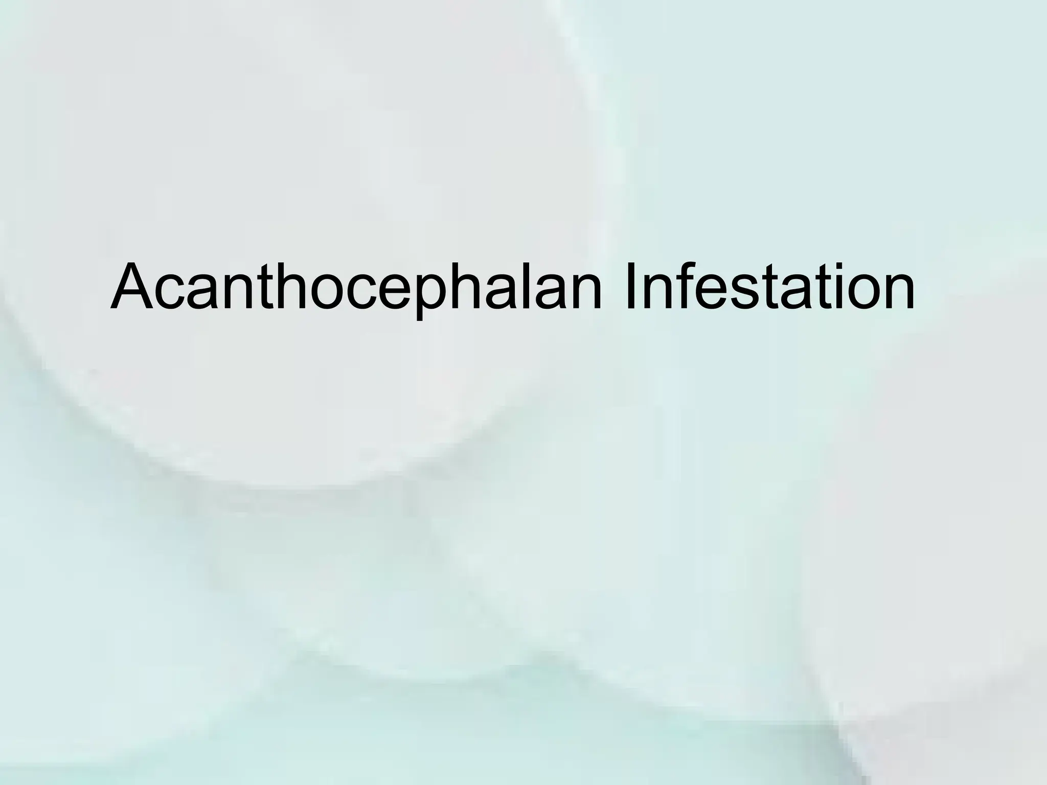 Acanthocephalan and Crustacean infestation-WPS Office.pptx