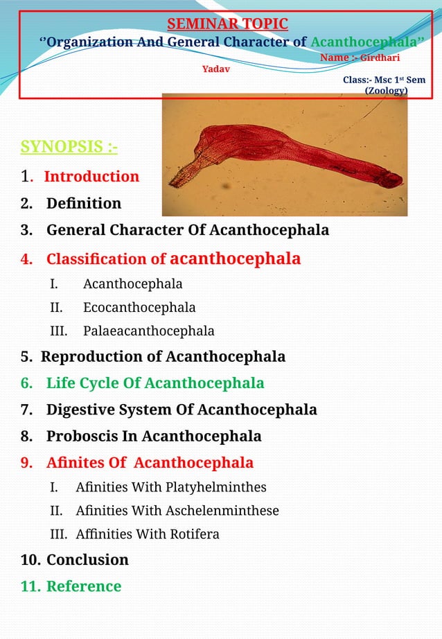 Organization and general characters of ACANTHOCEPHALA PPT.pptx