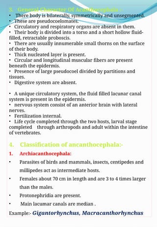 Organization and general characters of ACANTHOCEPHALA PPT.pptx