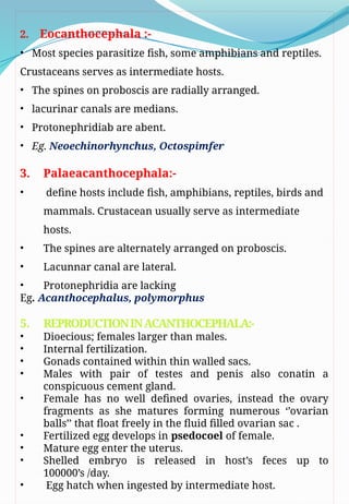 Organization and general characters of ACANTHOCEPHALA PPT.pptx
