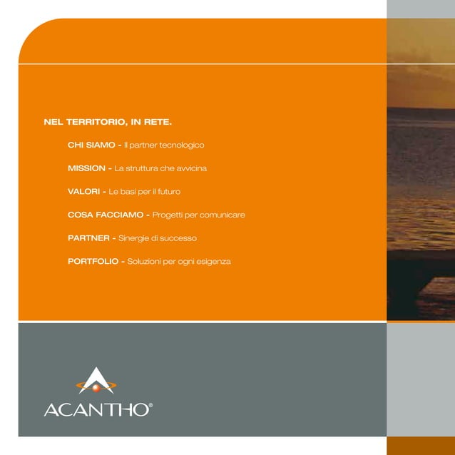 ACANTHO company profile | PDF