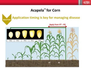 Acapela row crop_en_may9 | PPT