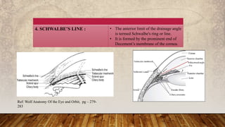 ANTERIOR CHAMBER & AQUEOUS HUMOR DYNAMICS.pptx | Free Download