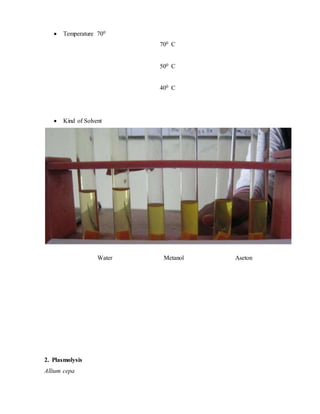 Laporan Praktikum Difusi Osmosis dan Plasmolisis | DOCX
