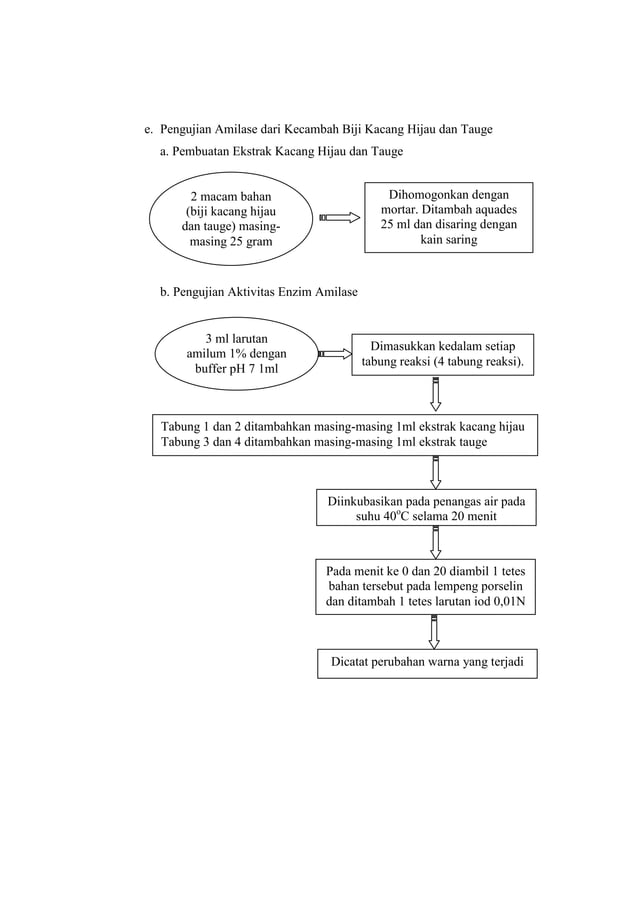 Laporan Biokimia ITP UNS SMT3 Enzim | PDF