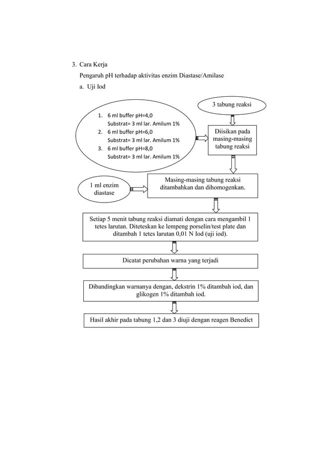 Laporan Biokimia ITP UNS SMT3 Enzim | PDF