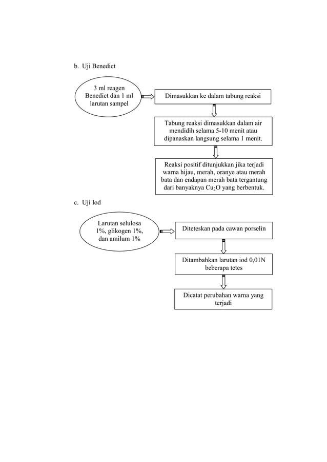 Laporan Biokimia ITP UNS SMT3 Enzim | PDF