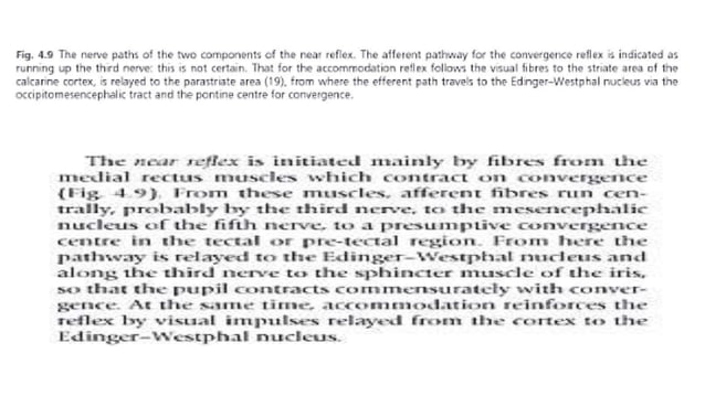 Physiology of Accomodation | PPTX