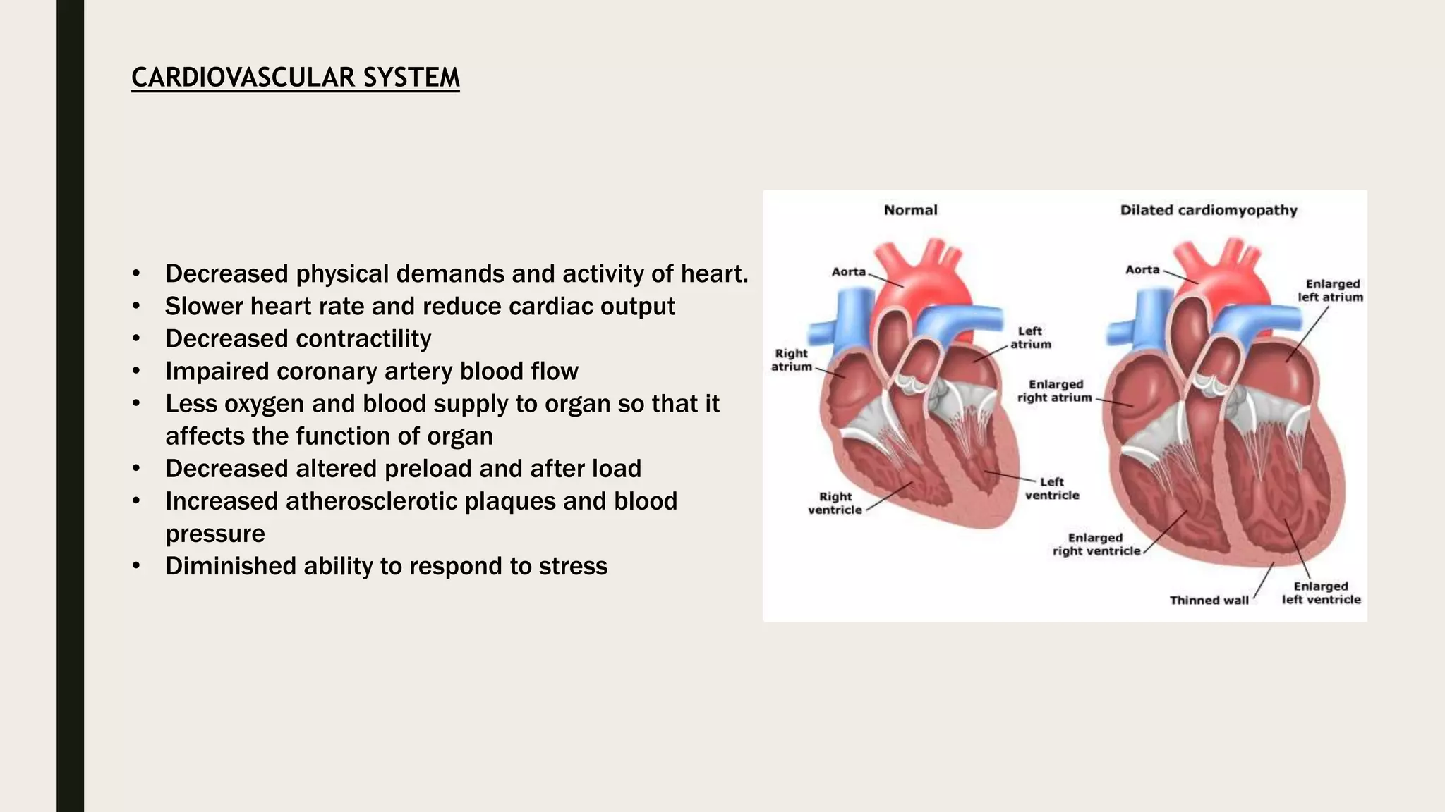 Nursing care of the elderly patients | PPTX